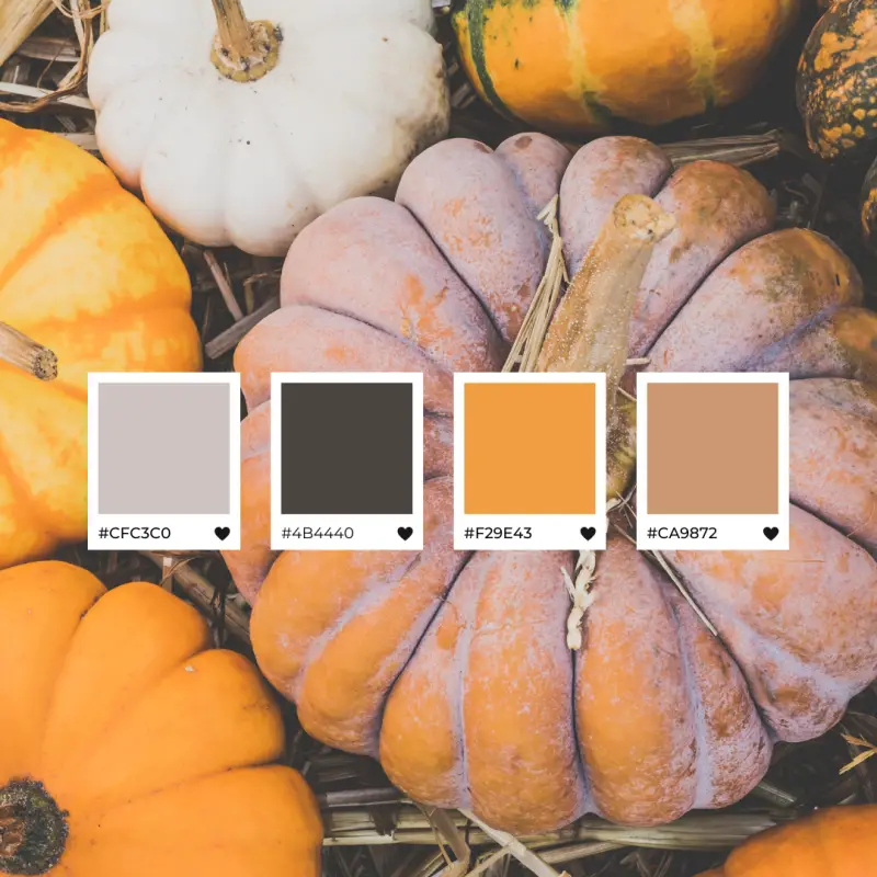 Autumn Colour Scheme Ideas for The Bedroom - Emily May Designs